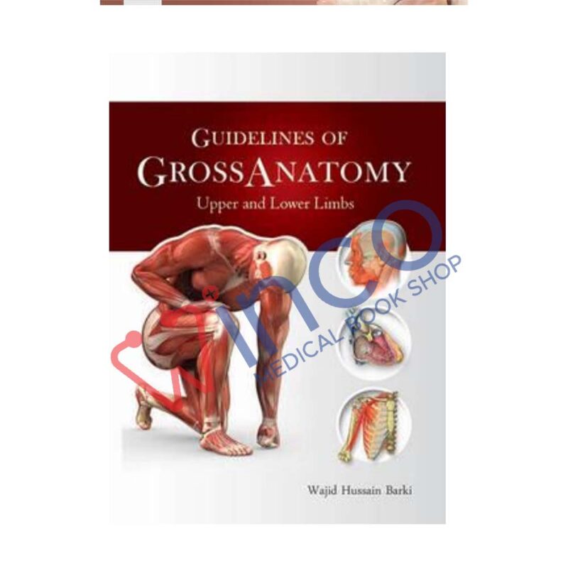 Guidelines of Gross Anatomy – Upper and Lower Limbs - Winco Medical ...