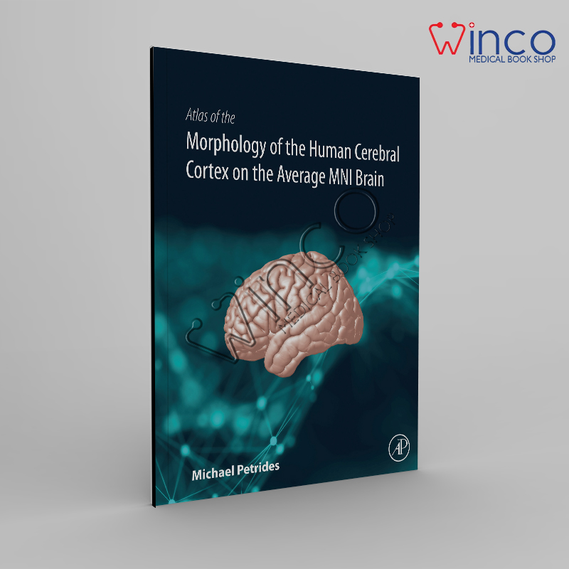 Atlas Of The Morphology Of The Human Cerebral Cortex On The Average MNI ...
